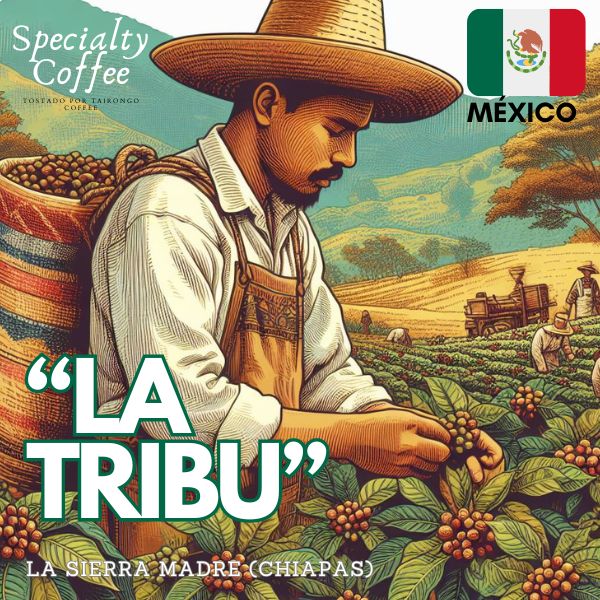 Café La Tribu (MEXICO)